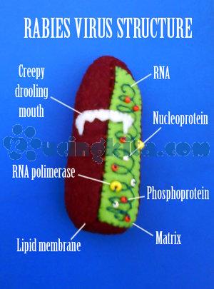 Penyakit Rabies | BIOLOGIPEDIA