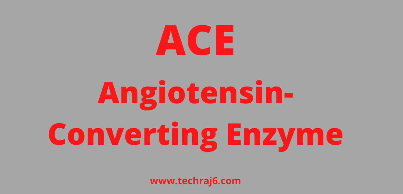 ACE full form, What is the full form of ACE