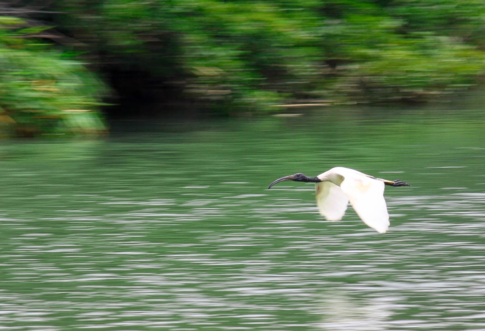 My Favourite Panning shots | Somil Bhandari