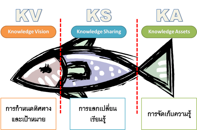 อารีดา สะมะแอ: ปลาทูโมเดล