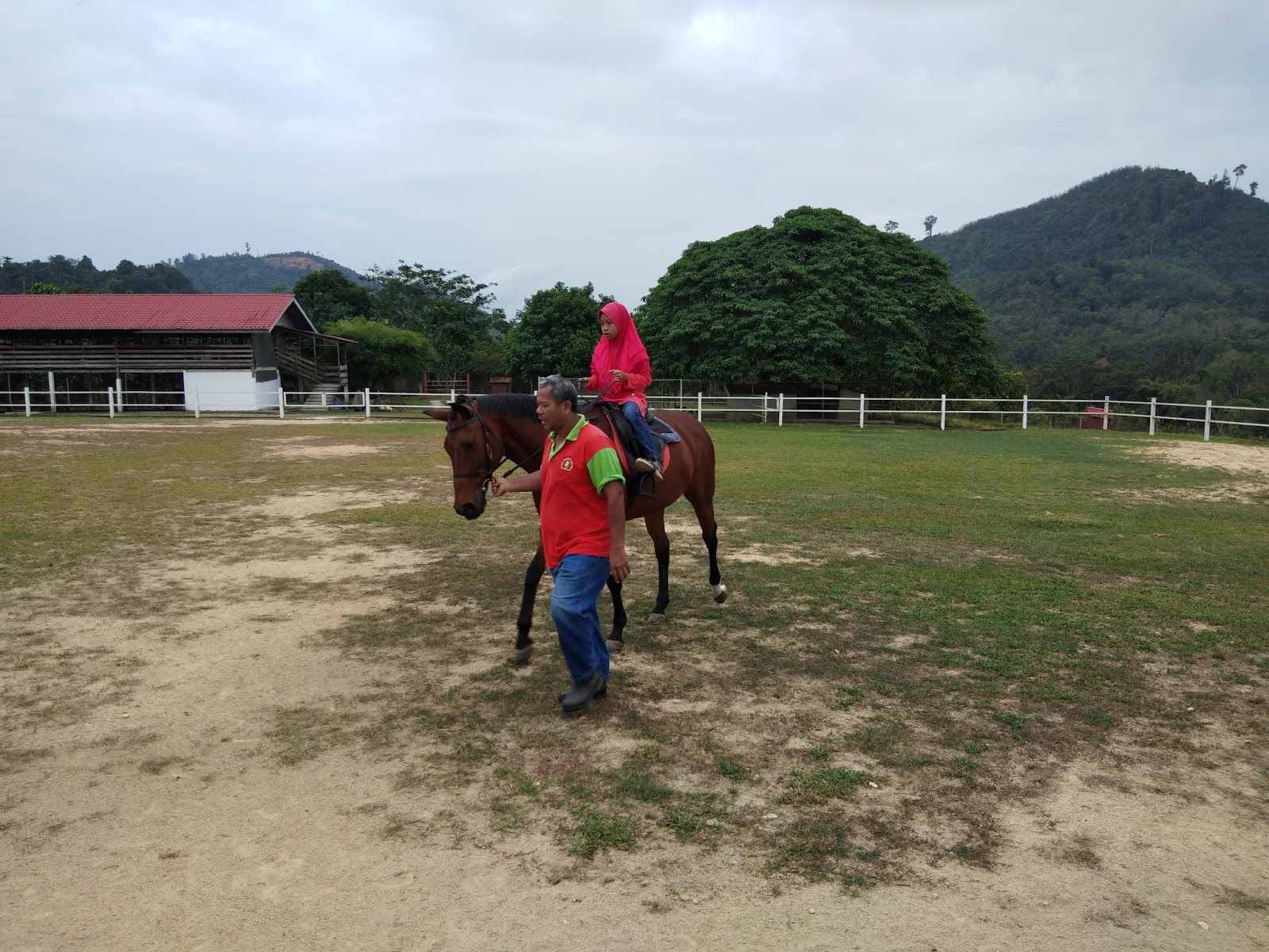 PANDUAN AWAL MENUNGGANG KUDA (5 JANUARI 2018) ~ Zaidi bin Man