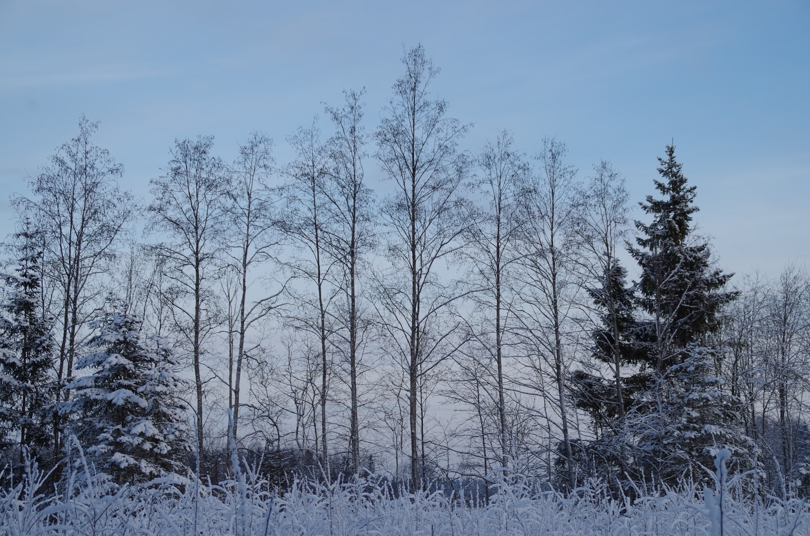 Laiwy pildid: Talvine