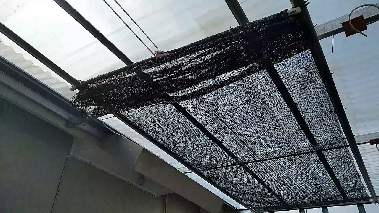 Cara Memasang Paranet yang Benar dan Rapih