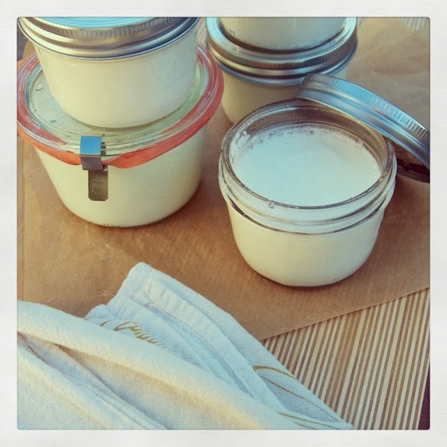 to be NOURISHED - A Guide to Eating Green: Fresh & Tangy Goat's Milk Yogurt