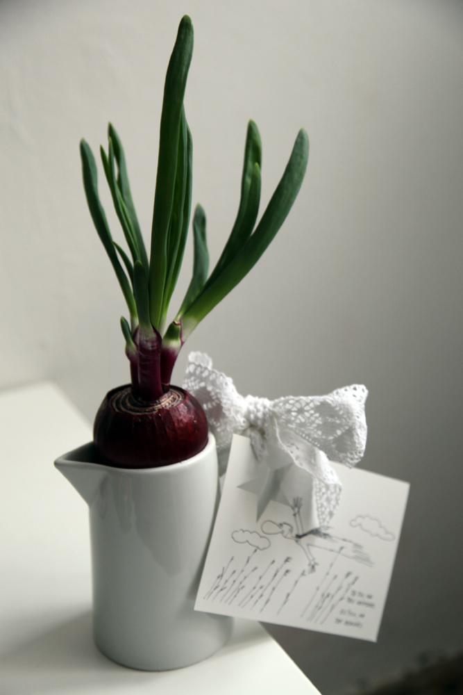 ziedu tirgotava "lakstos"