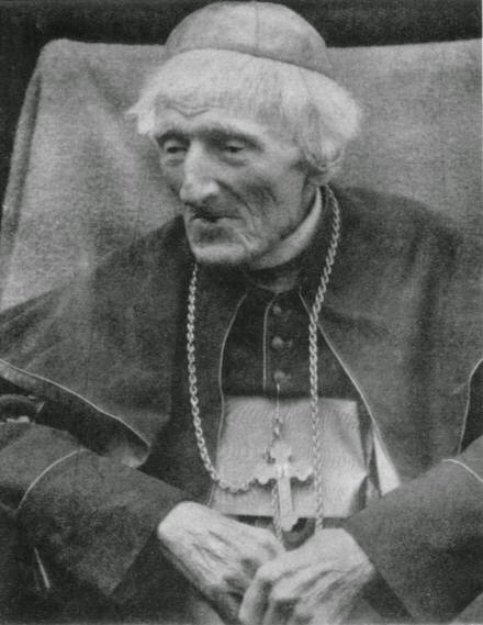 TORONTO CATHOLIC WITNESS: Cardinal Newman: A pastor of souls who ...