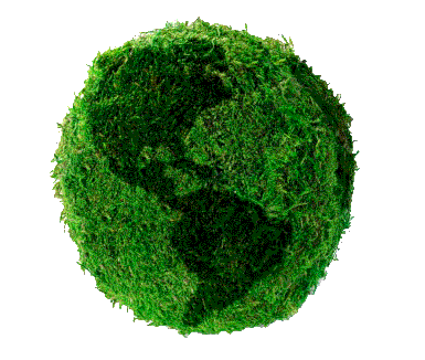 Un Mundo Verde: Cuidemos Nuestro Mundo Verde