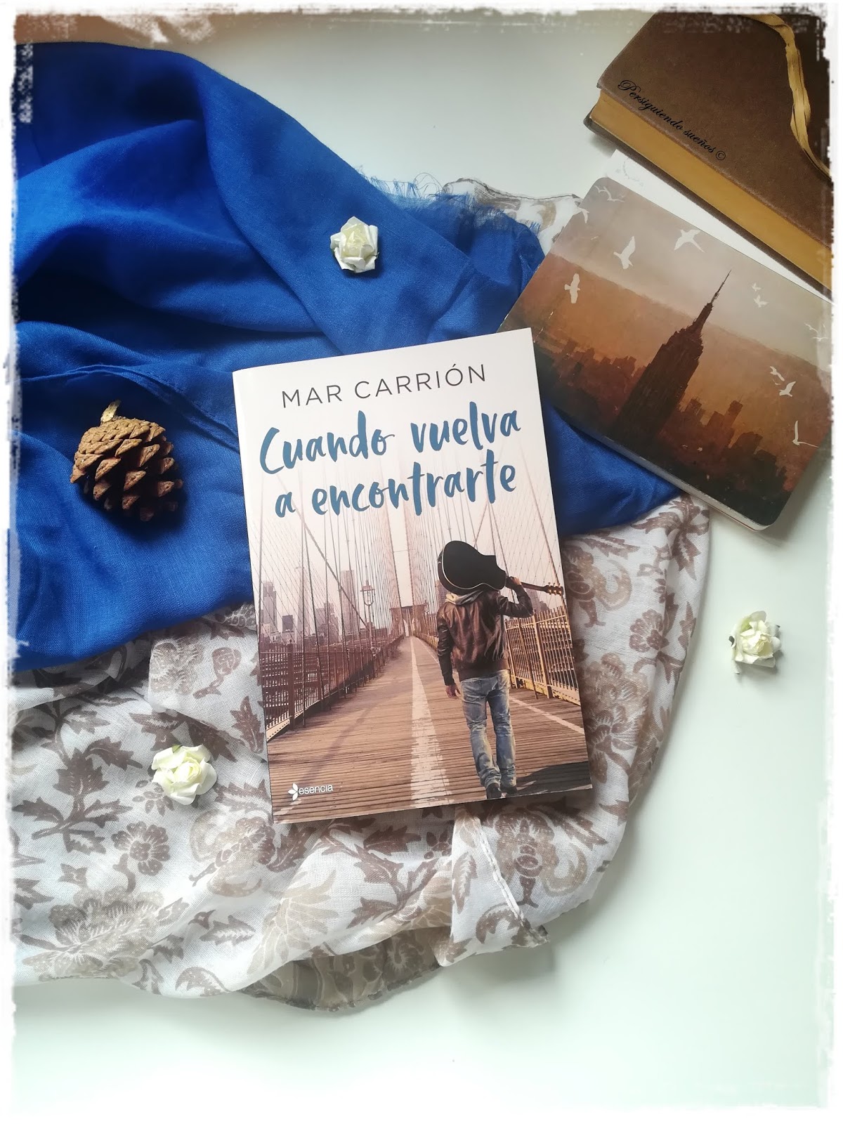 Persiguiendo sueños: Reseña Cuando vuelva a encontrarte