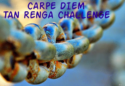 CARPE DIEM HAIKU KAI: Carpe Diem Tan Renga Challenge #94 Lee Gurga's "a ...