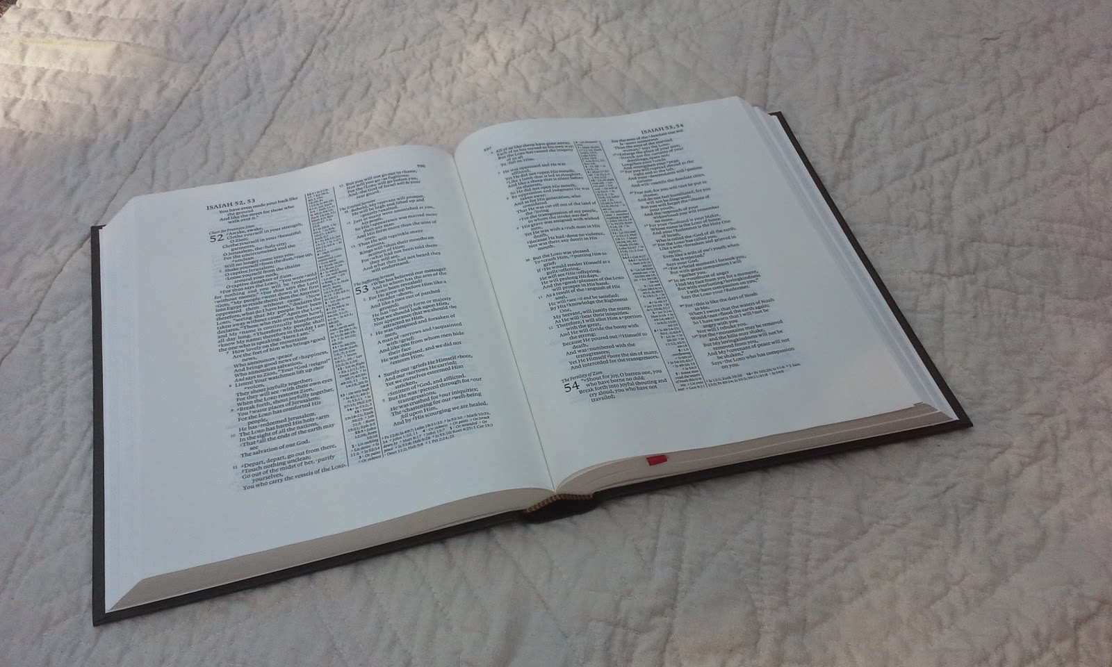 Whitefield's Prayer: Review: Cambridge NASB and NKJV Hardcover Wide ...