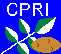 CPRI Plant Pathology SRF/JRF Walk INs