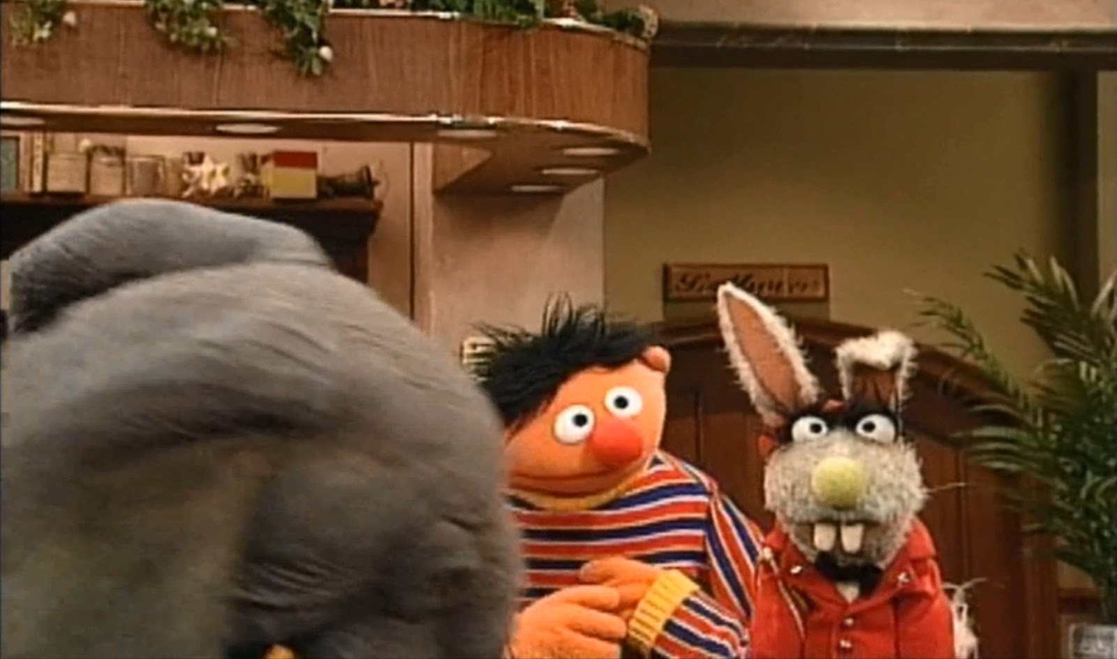 Sesame Street Guide: Sesame Street 123 Count with Me