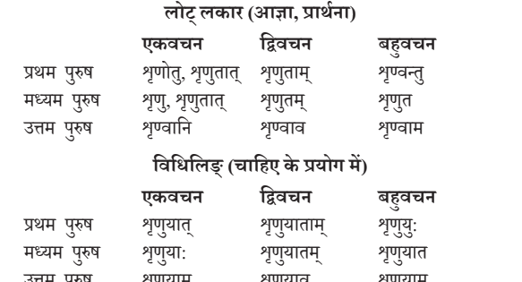श्रु धातु के रूप संस्कृत में – Shru Dhatu Roop In Sanskrit | HindiVyakran