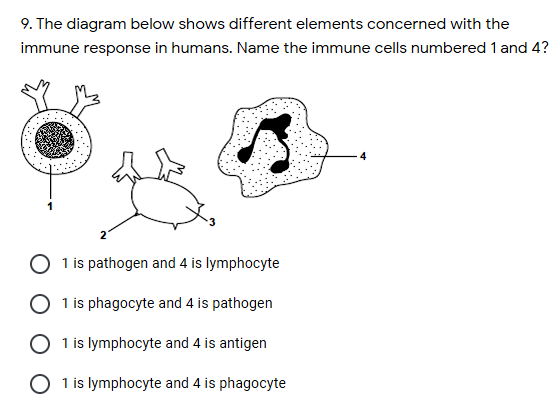 Immune System Online Exam Practice Part One - Form 4 Students