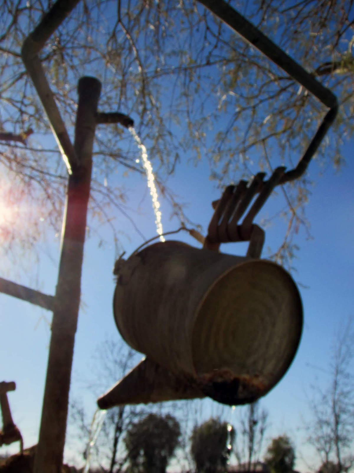 Tumbleweed Ranch Up Close