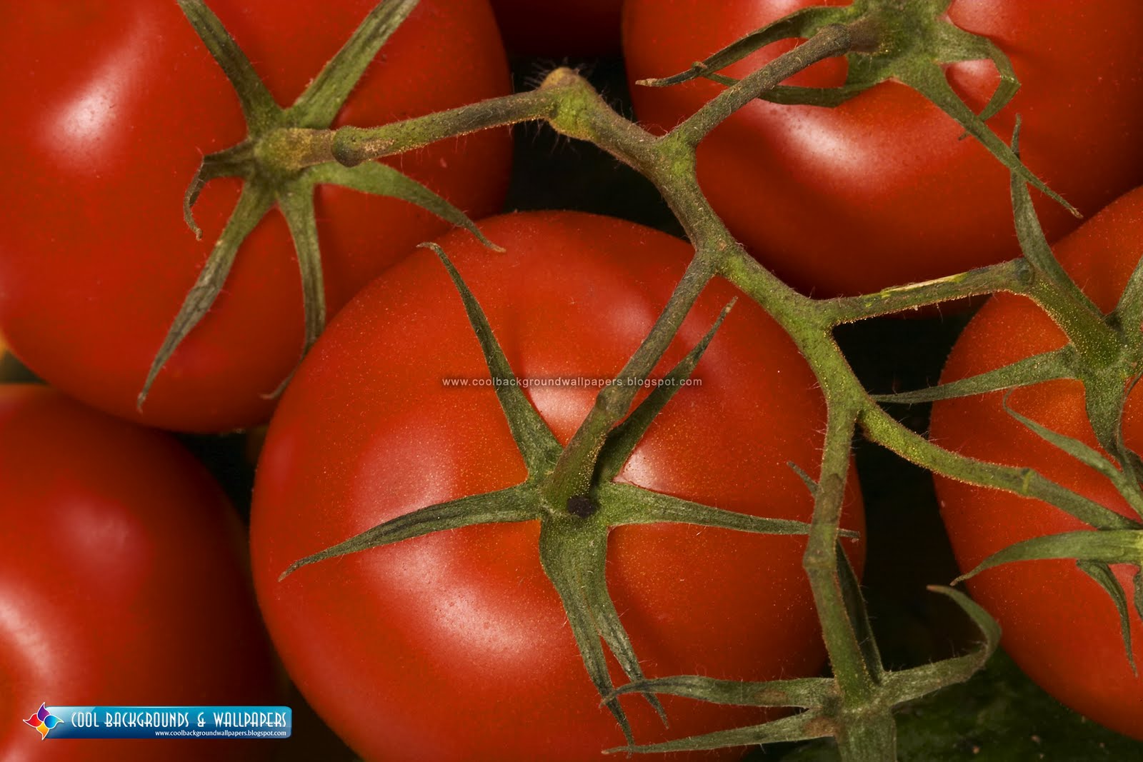 NIm 2011: Juicy Tomato High Resolution Wallpaper