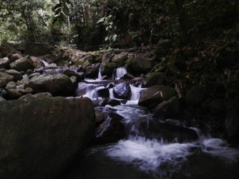 Hiking and Stuff: Gunung Nuang via Hulu Langat