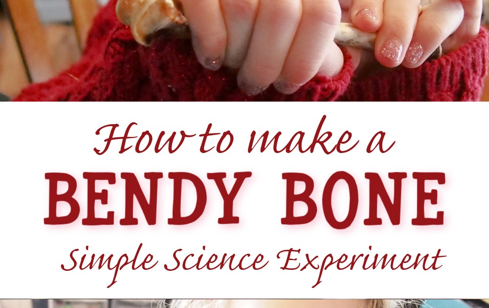 Simple Science Experiment to Learn What Makes Bones Hard - Life with ...