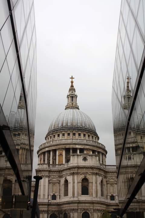 Molli Smith Portfolio