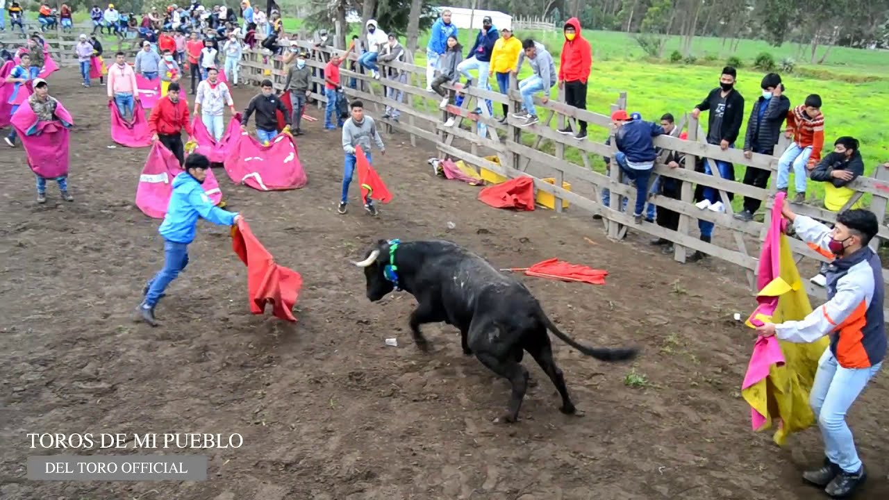 Mis Aventuras: Viajes alrededor del Ecuador