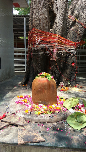 Hindu Temples of India: Daksheswara Mahadev Temple, Kankhal, Haridwar ...