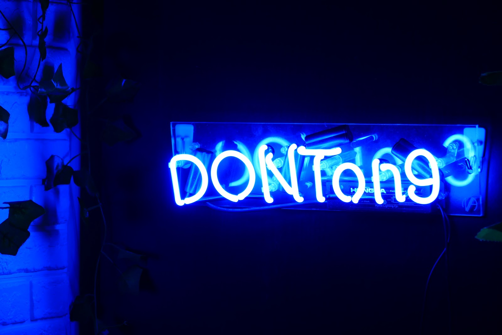 The Best Neon Lights For Your Bedroom- Naaaaaaa Review - fantail flo