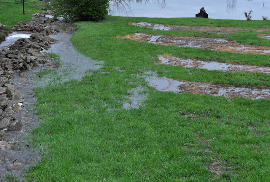 Creating Interest: Let's Go Swaling!