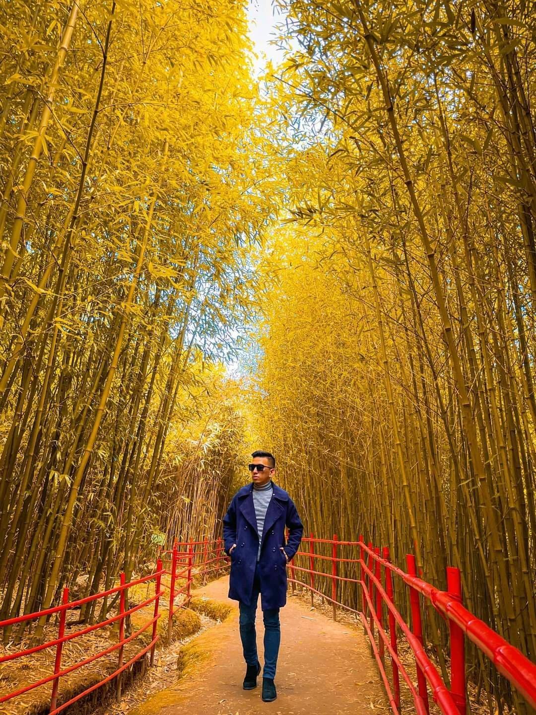 Welcome to Little Kyoto, Japan in Baguio City ~ WowCordillera