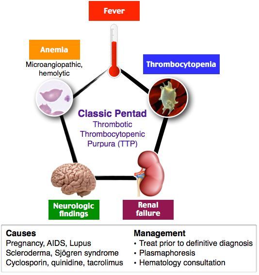 Thrombotic thrombocytopenic purpura, what to know?