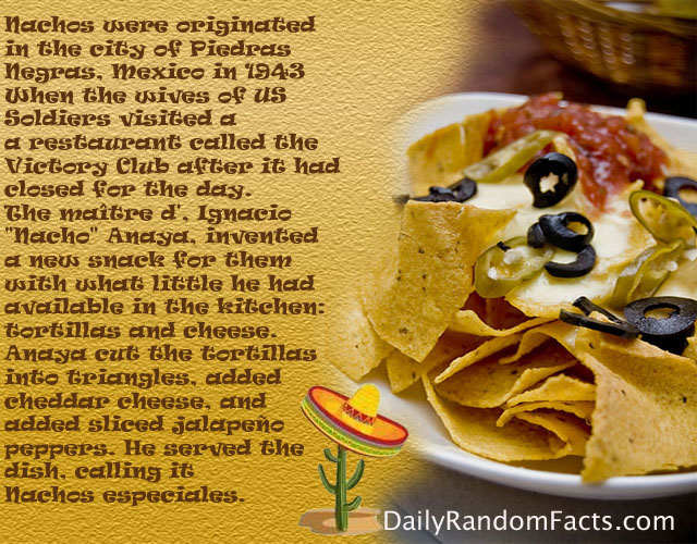 EXAMS AND ME : Nachos