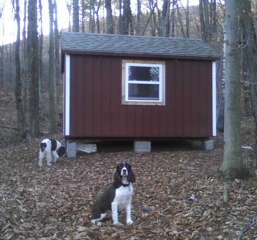 TSP: Beth Bosworth: A Shed of Her Own