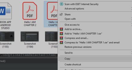 How to make a book app using PDF in android studio