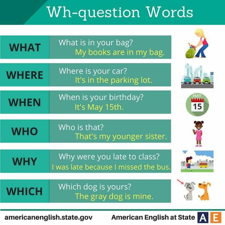 MOLASBLOG 5 PRIMARIA WH QUESTIONS molasblog-5-primaria-wh-questions