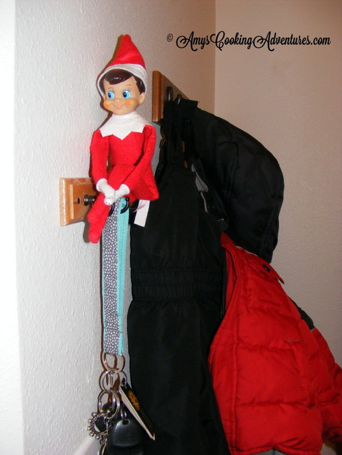 Elfie's Antics: Week One