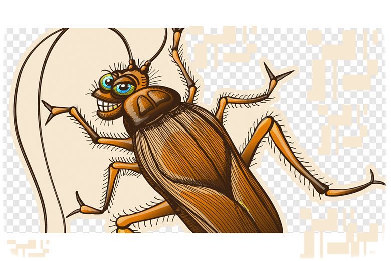 Cucunguk - Carpon Sunda - Lebak Wangi