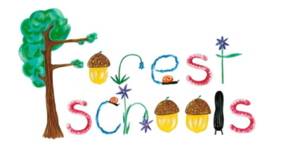 A Holistic Approach to Forest School