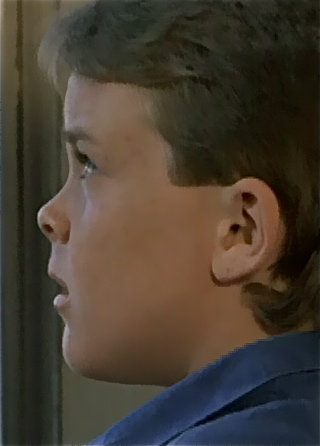 cult film freak: CONNECTING THE UNCONNECTED TROLL WITH TROLL 2