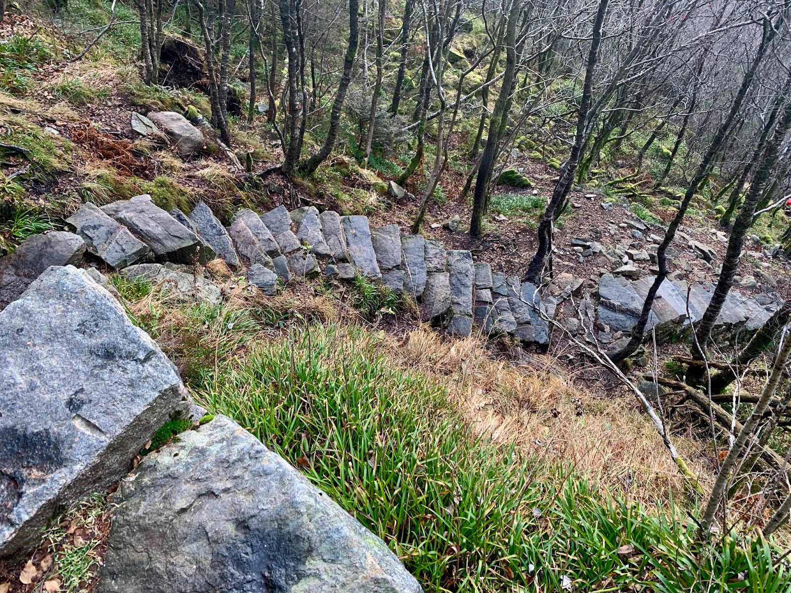 Goturen: Stoltzekleiven