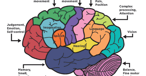 What is a Cerebrovascular Accident (CVA)?