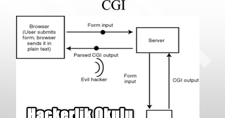 CGI (COMMON GATEWAY INTERFACE)