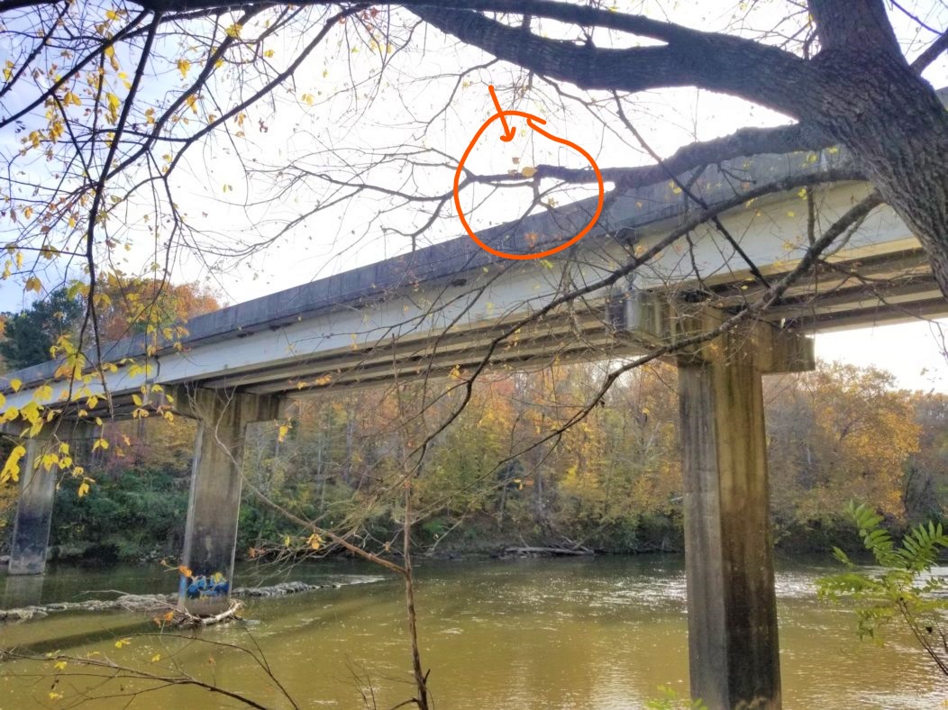 NieNie Dialogues: Chicken Bridge Chucking