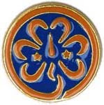 Girl Scouts 101: Girl Scout Pins