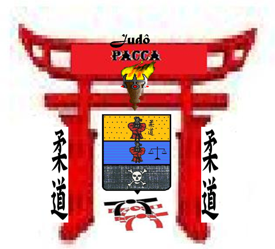 FAMÍLIA PACCA E SUA ORIGEM: BRASÃO DO PROFESSOR RICARDO PACCA