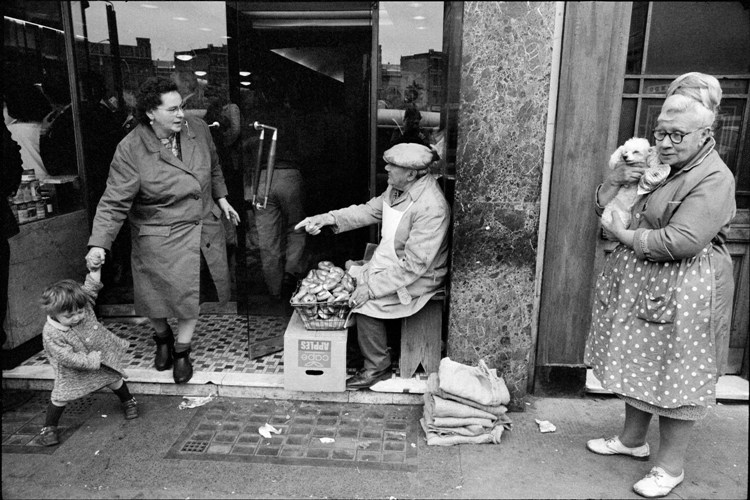 VI.EFFE: Ian Berry Photographer