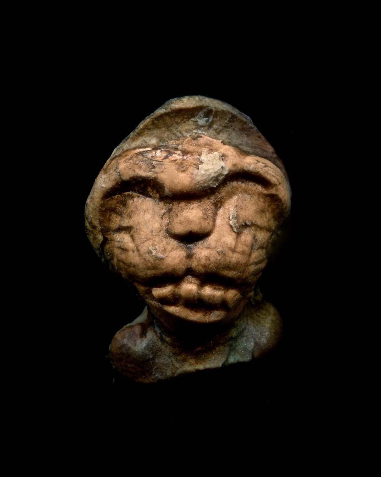 Hidden Missives: Guff the Squib