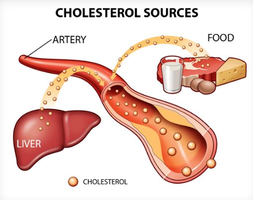 High Cholesterol,Symptoms, Causes,And Medication - Diabetes Suport