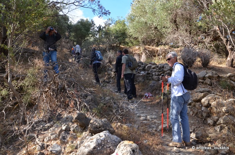 EXPLORE MOUNTAINS: ΠΕΖΟΠΟΡΙΑ ΚΑΒΟΥΣΙ-ΚΑΣΤΡΟ-ΦΑΡΑΓΓΙ ΜΕΣΩΝΑ-ΑΖΟΡΙΑΣ ...