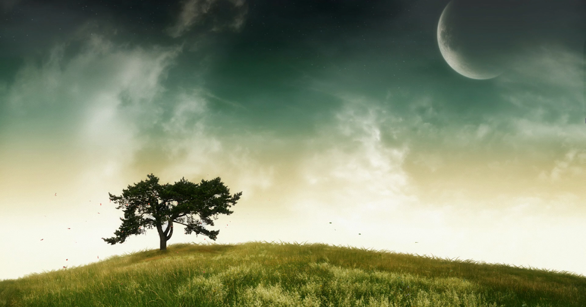 Nature ~ Wallpaper Engine