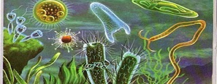 ¿Qué fue la Era Azoica?