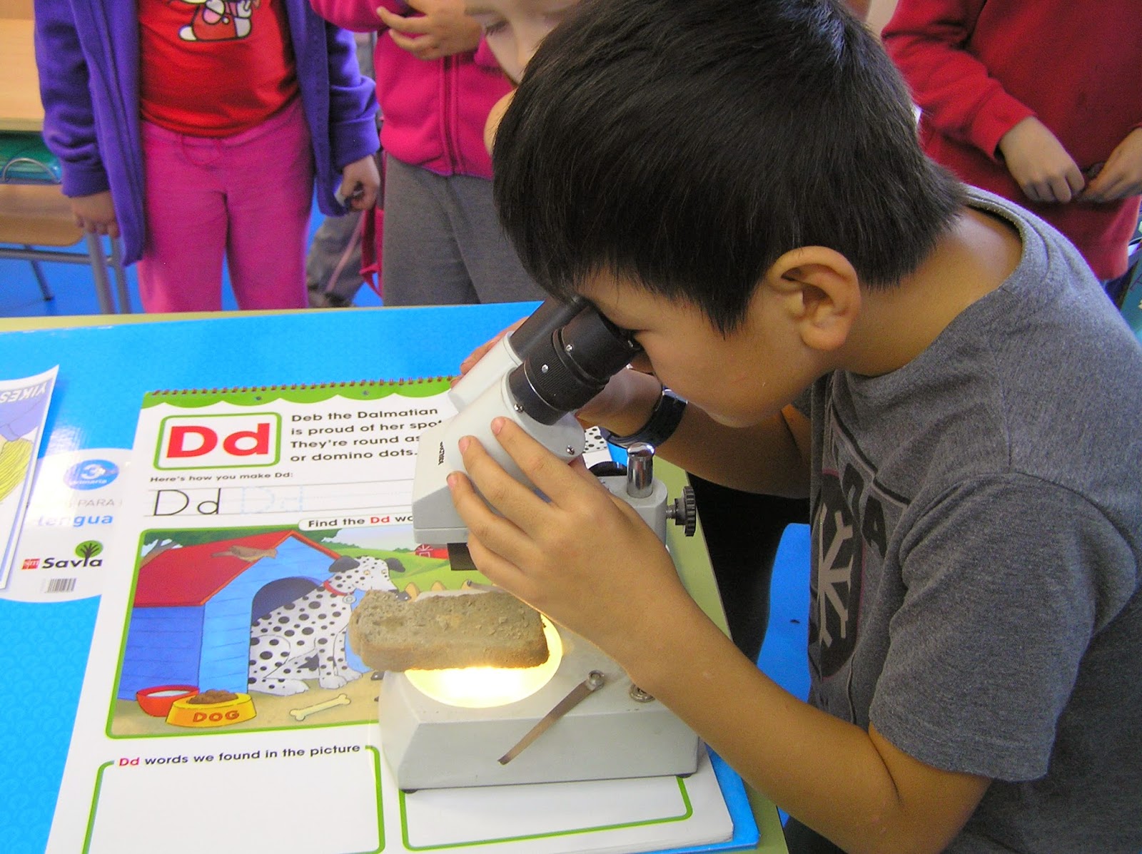 Cosas de niños para la escuela: ESTUDIO DEL MOHO DEL PAN EN LA LUPA ...